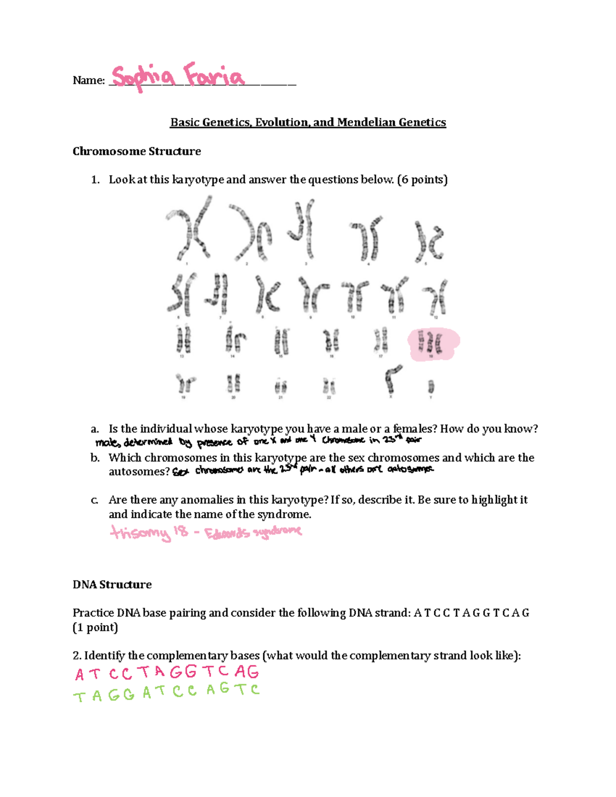 Genetics Lab Complete: Mendelian and Molecular Genetics Overview - Studocu