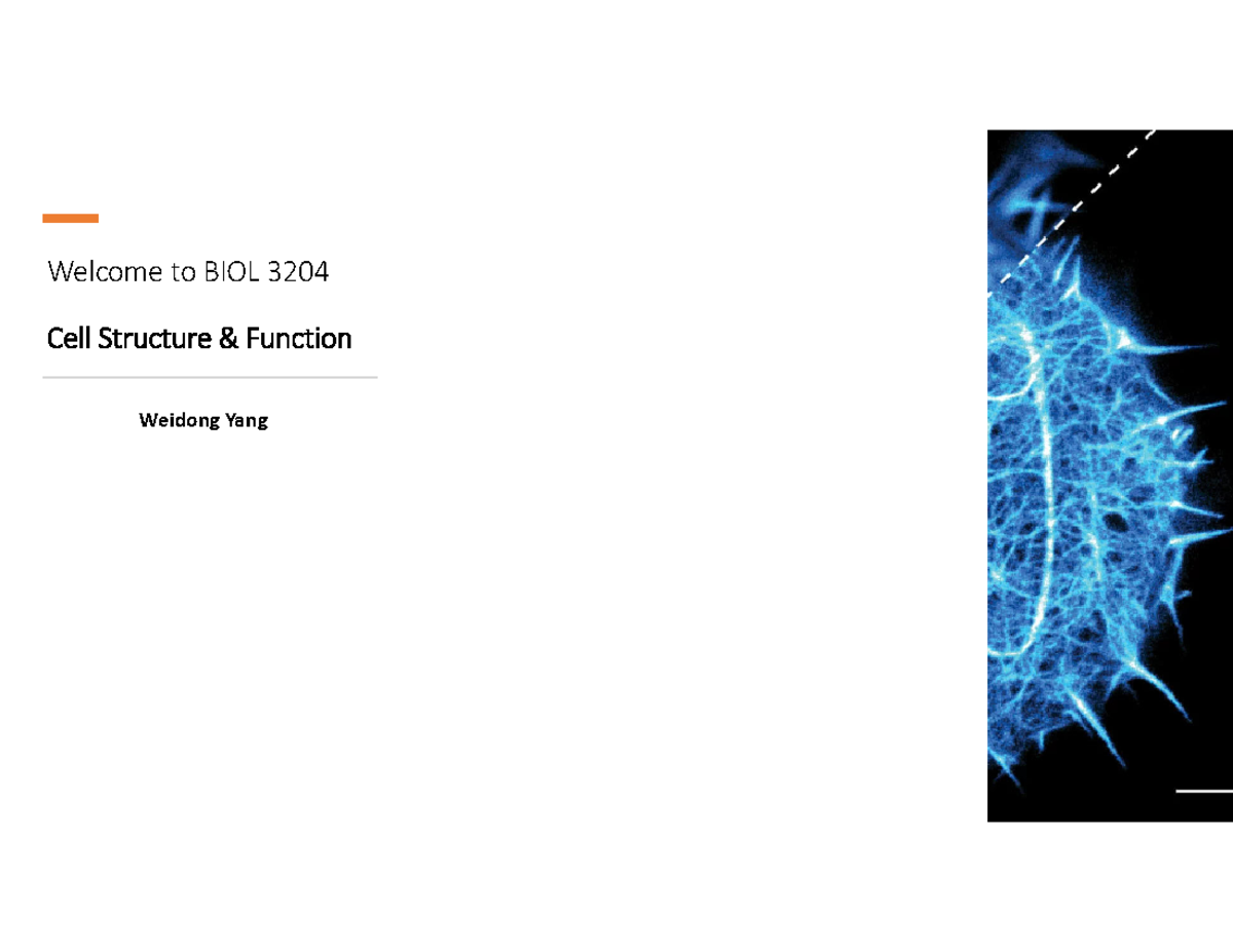 Super-Resolution Microscopy Techniques in BIOL 3204 Cell Biology - Studocu