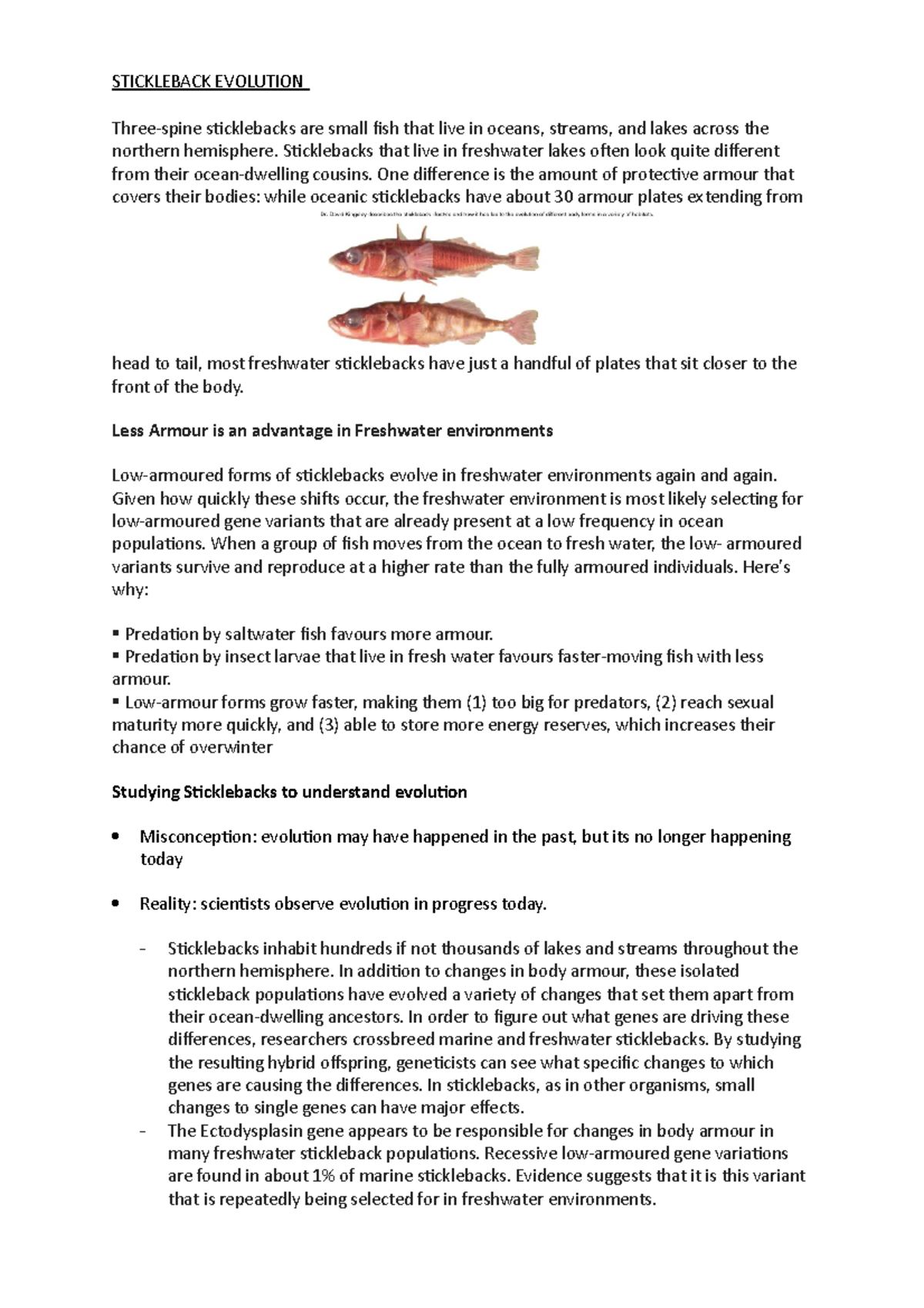 Stickleback Evolution: Genetic Adaptations in Lake vs Ocean Variants ...