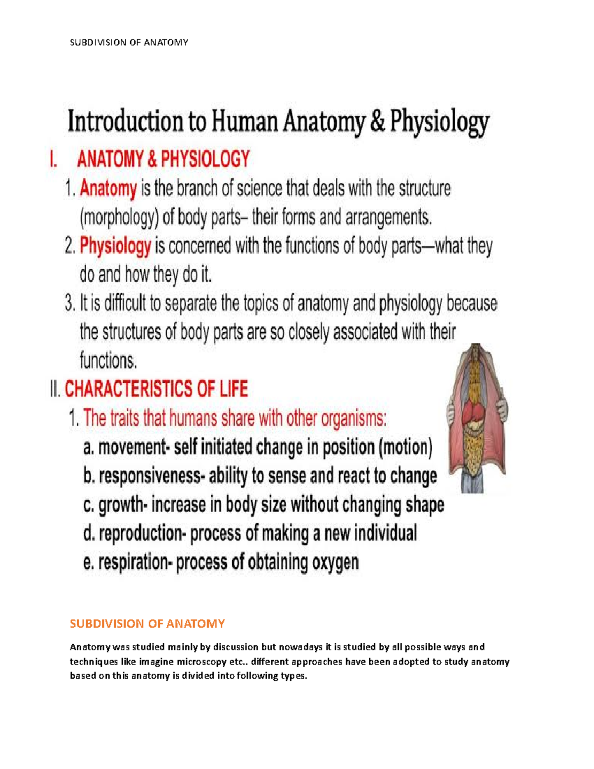 Subdivision Of Anatomy