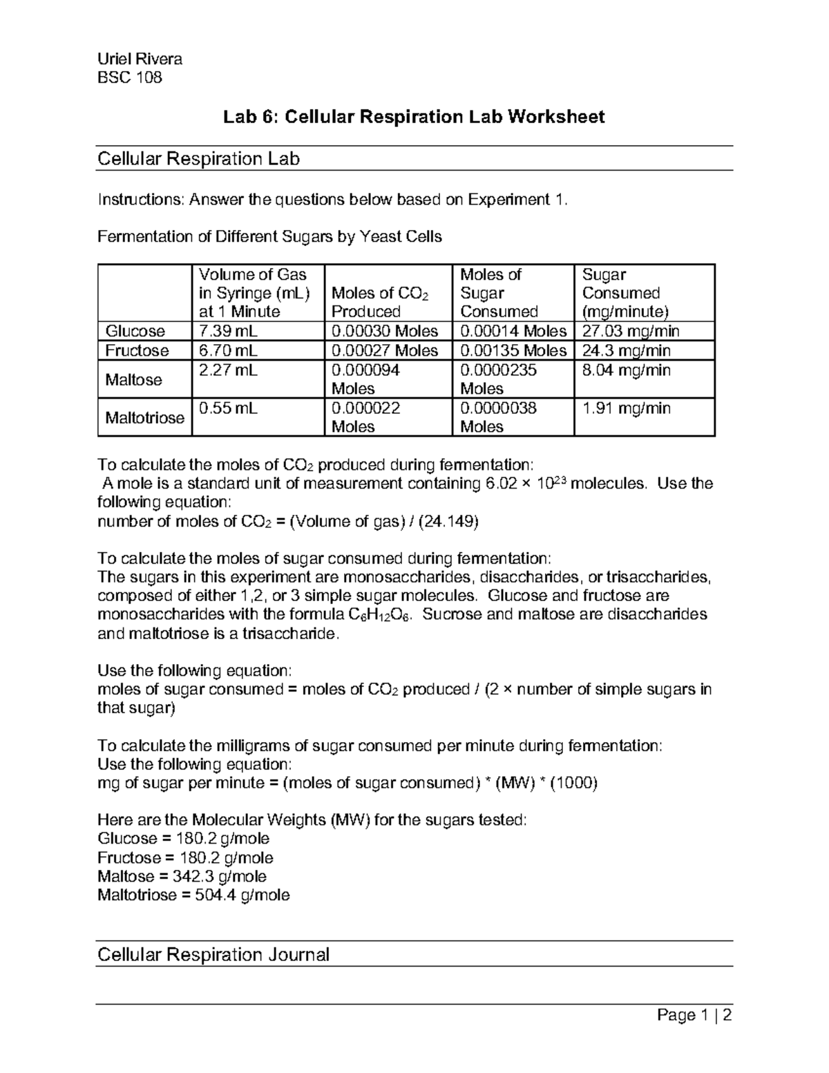 BSC 108 Lab 6: Cellular Respiration Experiment Analysis - Studocu