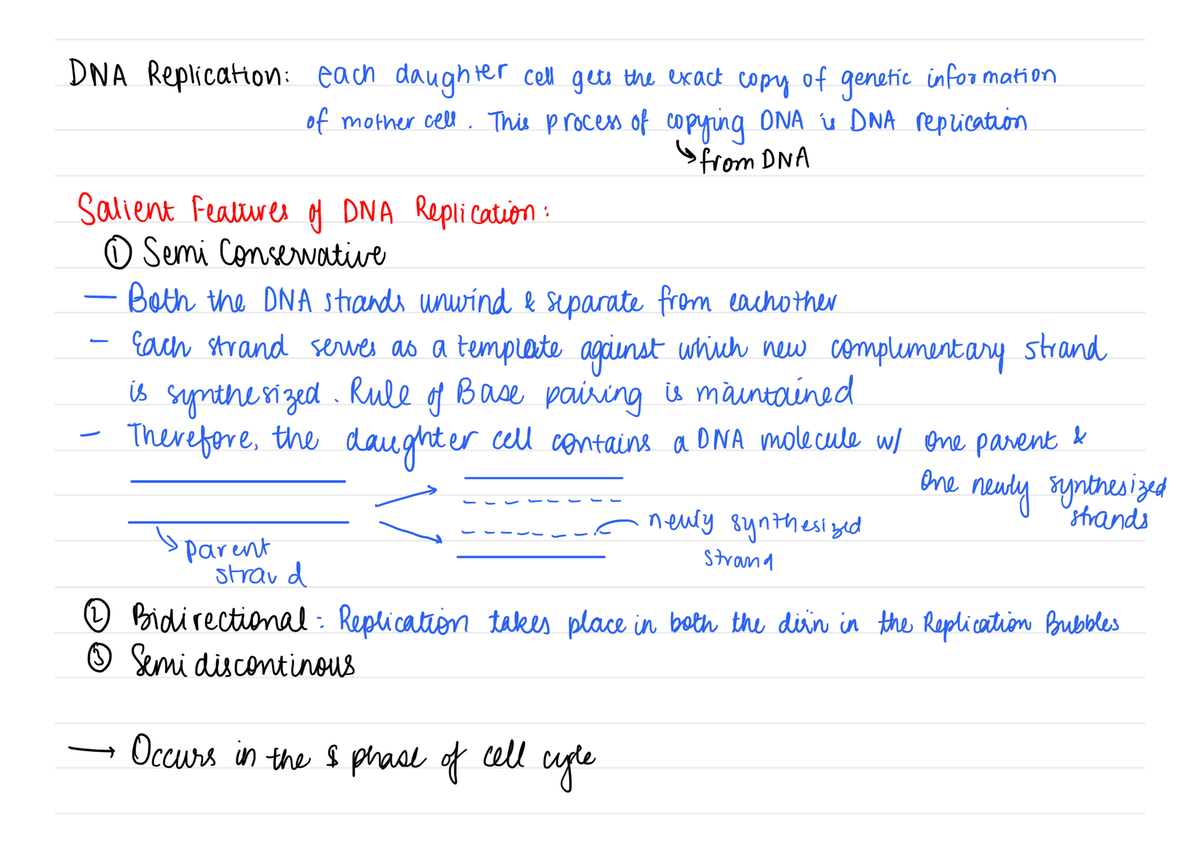 DNA Replication: Mechanisms and Key Processes Explained - Studocu
