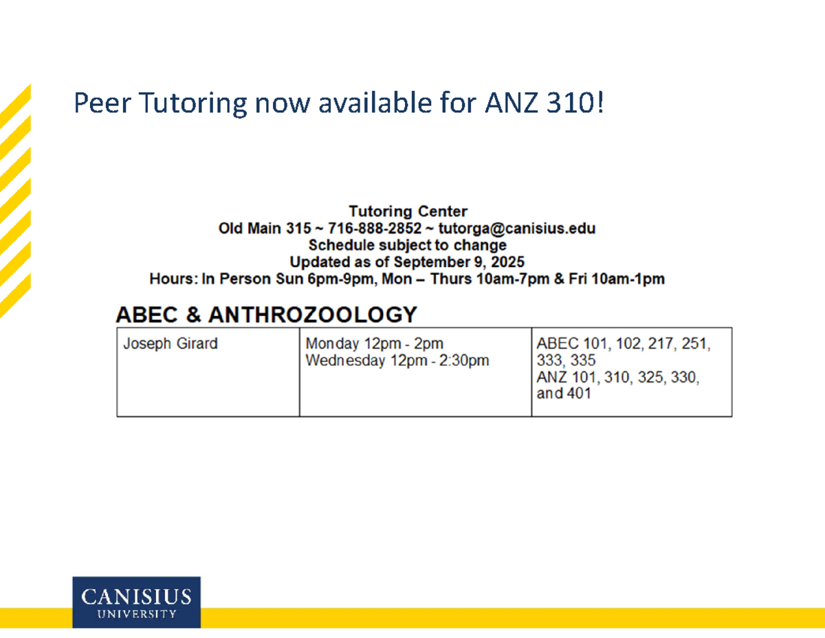 ANZ 310: Bandura's Bobo Doll Experiment & Social Learning Theory ...