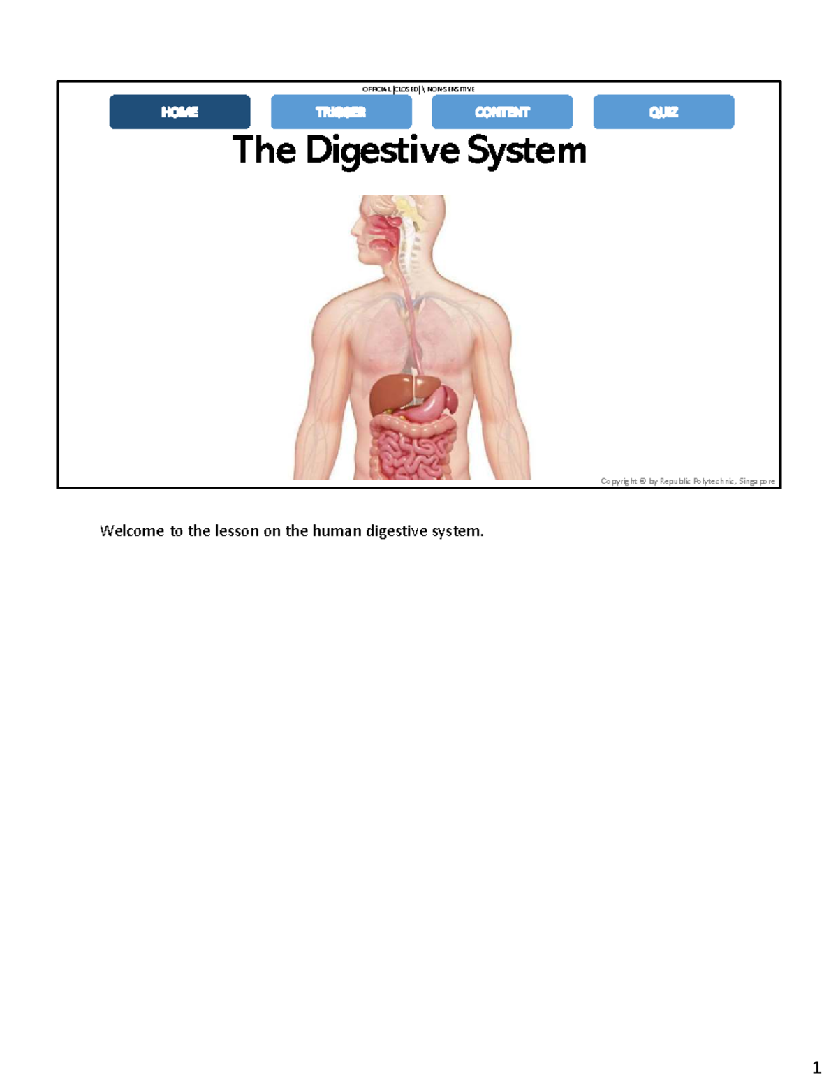 Lesson on the Human Digestive System - Studocu