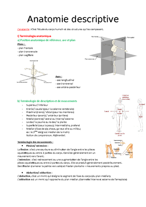 Cheville - Descriptions des mouvements du corps - CHEVILLE ...