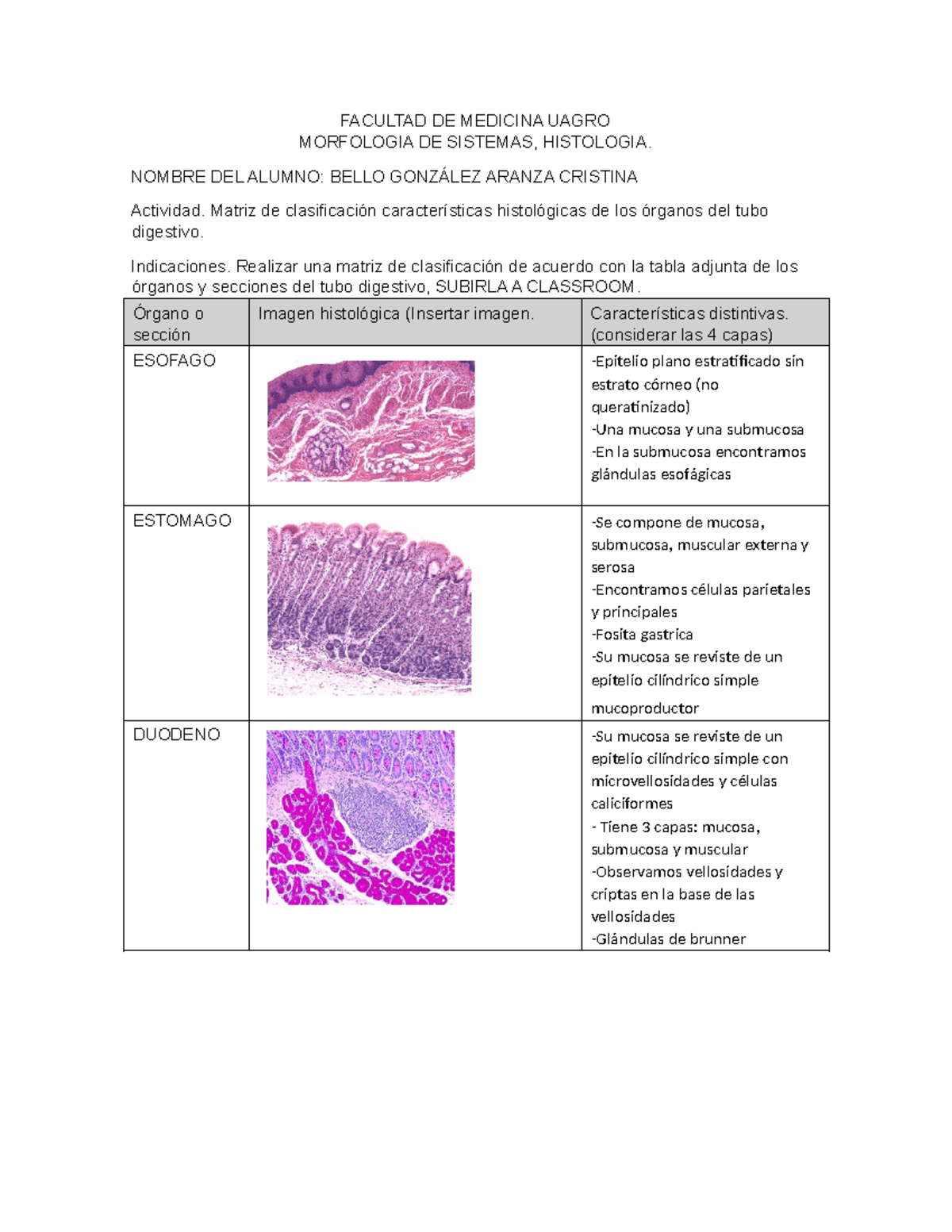 MATRIZ DE CLASIFICACIÓN HISTOLÓGICA DEL TUBO DIGESTIVO - UAGRO - Studocu