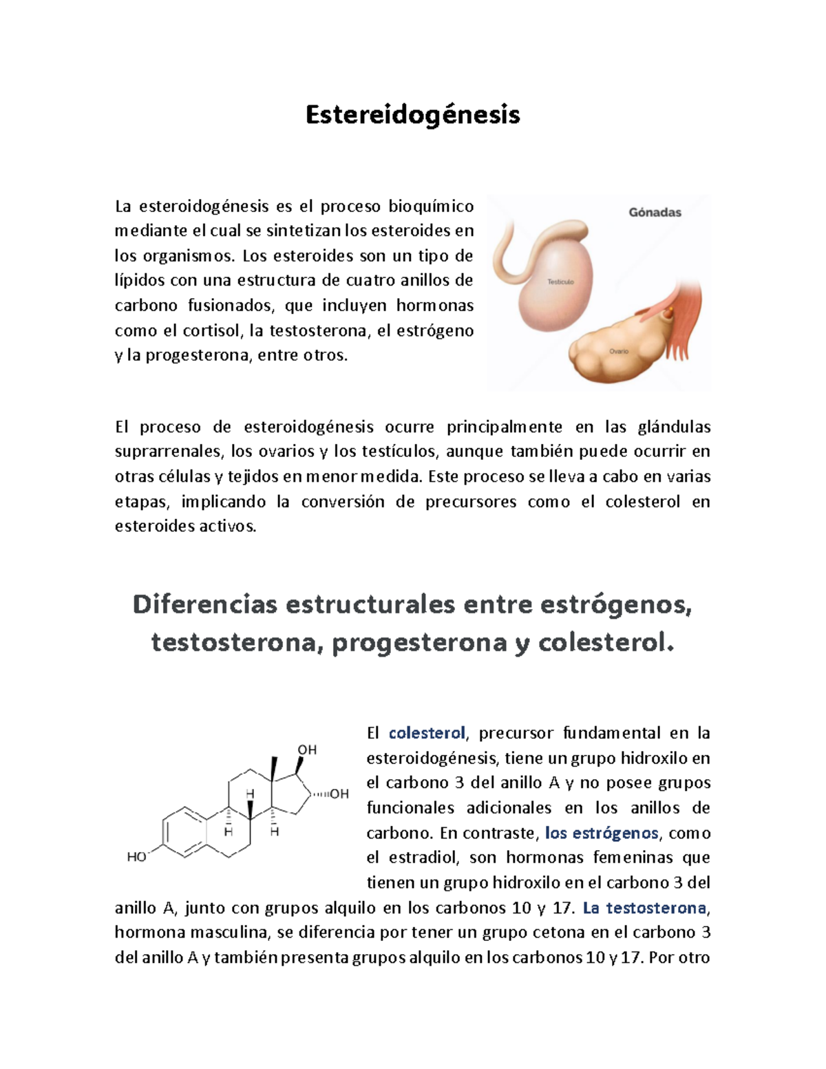 Estereidogénesis y Diferencias Estructurales en Hormonas ...