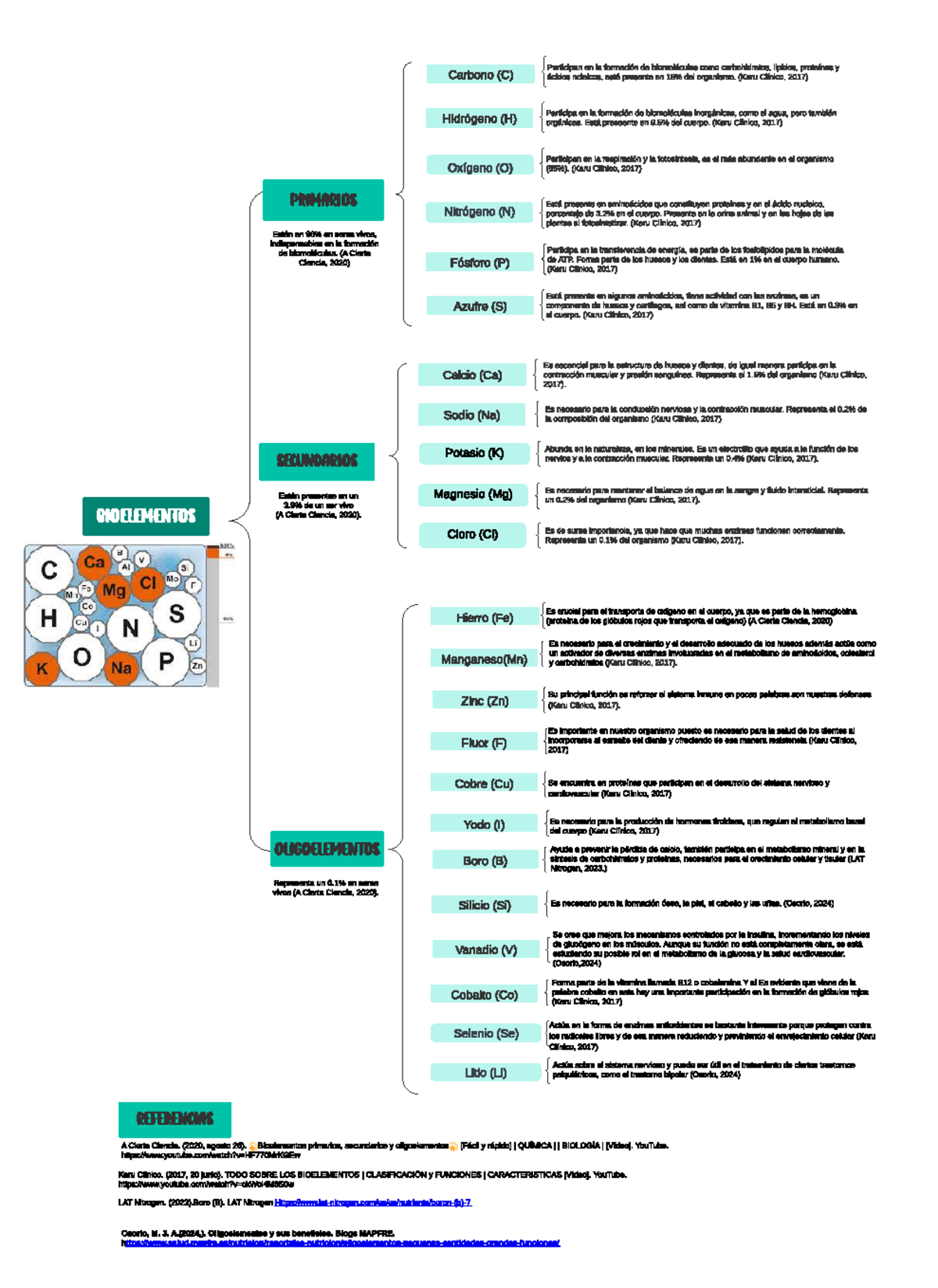 Bioelementos: Clasificación y Funciones Esenciales (BIO 101) - Studocu