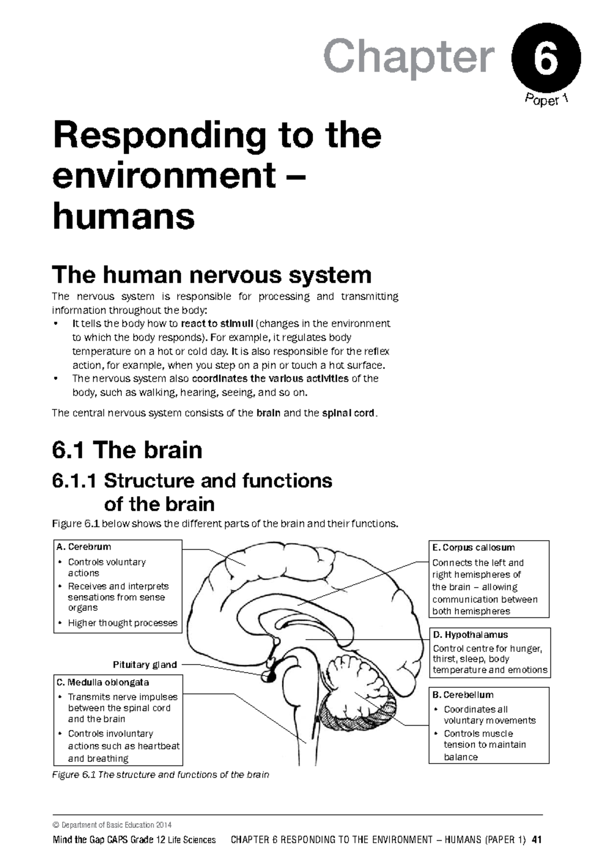 Chapter 6: Responding to the Environment - Humans (Life Sciences, Paper ...