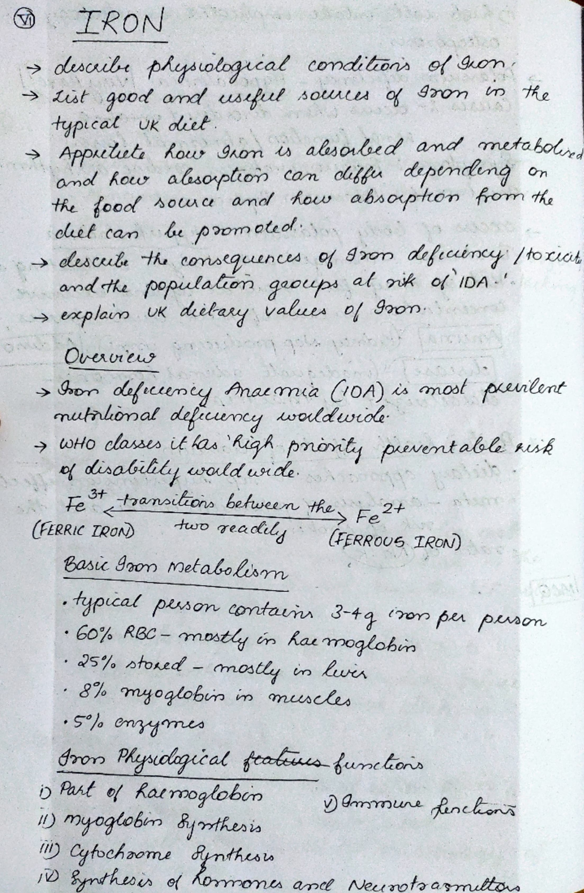 Iron - Overview of what Iron is. The basic iron metabolism, and ...