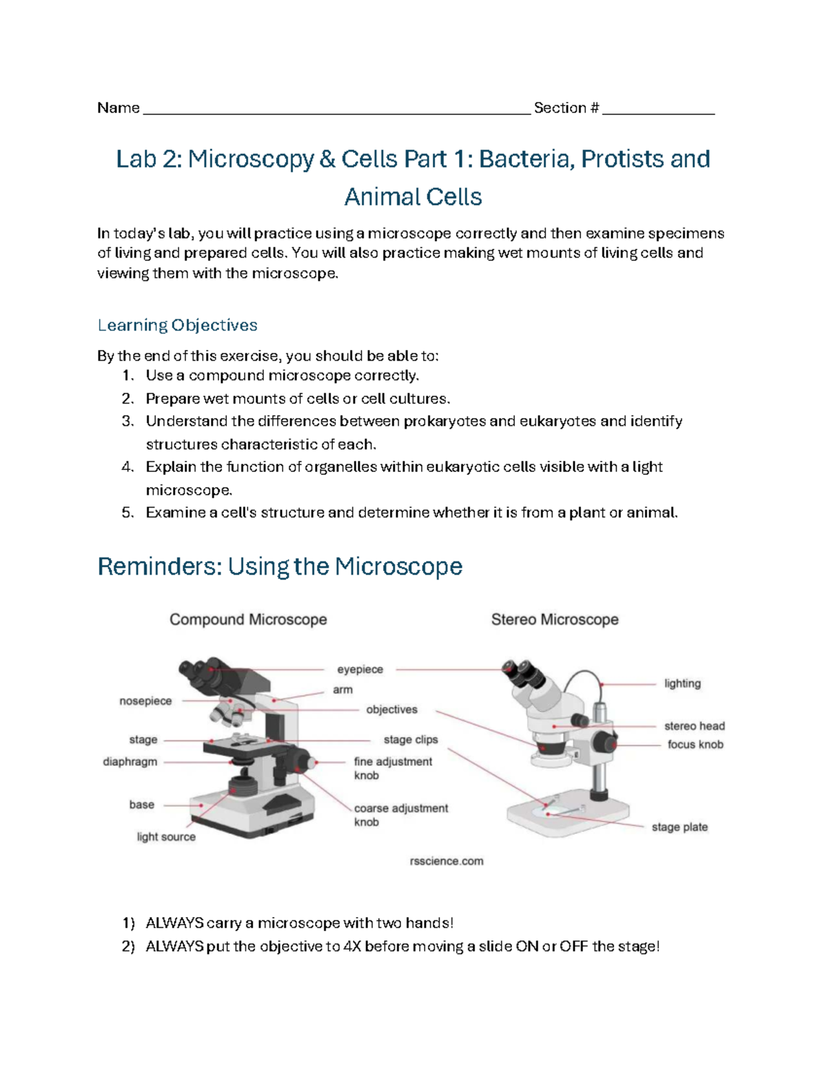 BIOL 111 Lab 2 F2025: Microscopy of Bacteria, Protists & Animal Cells ...