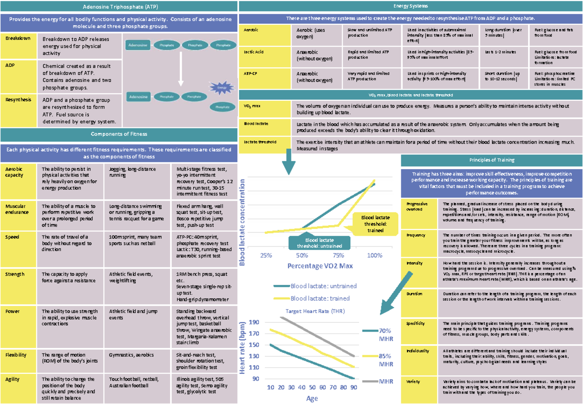 Physical Education Training Methods & Principles QCE Units 3 & 4 - Studocu
