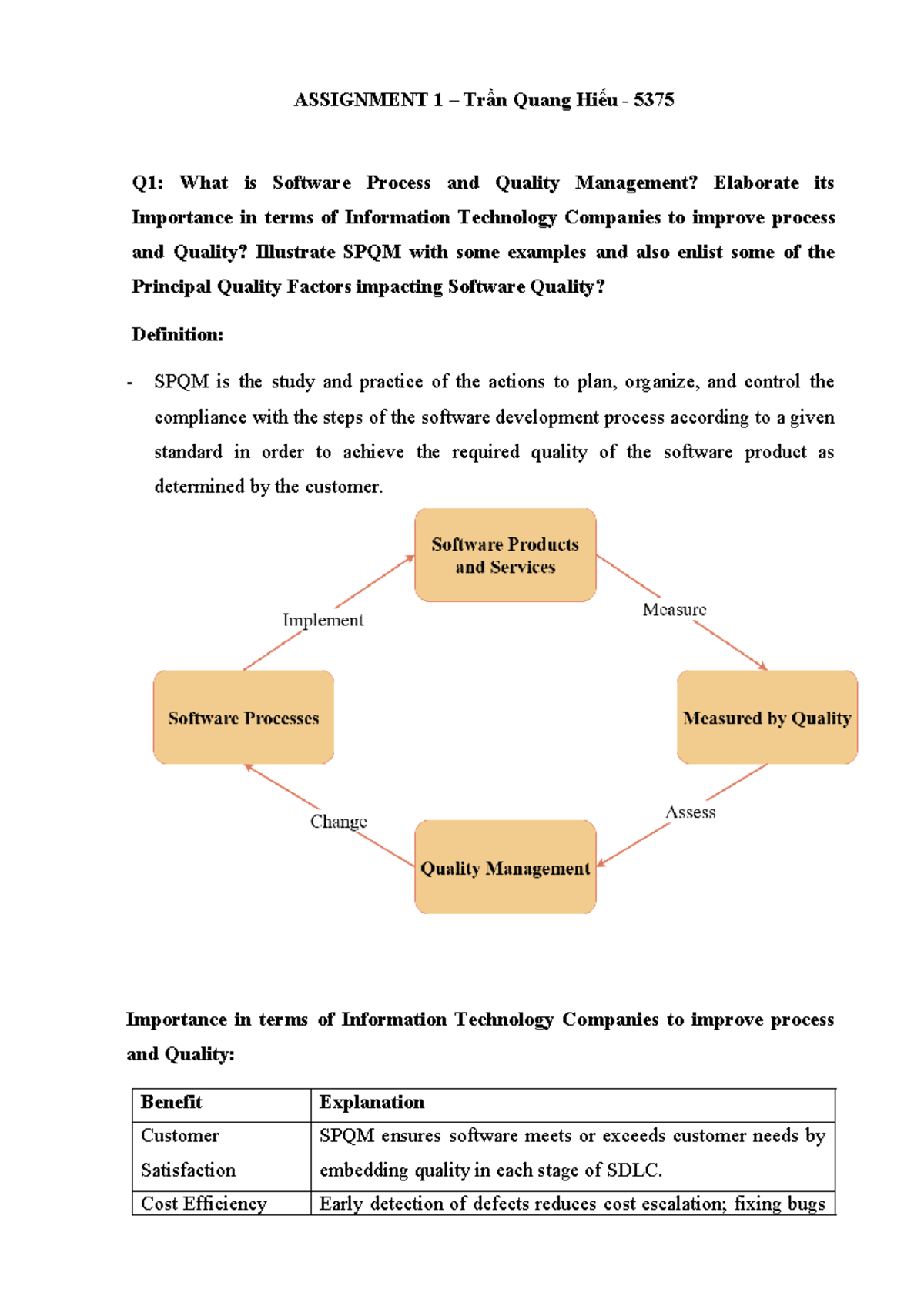 Software Process and Quality Management in IT Companies - Assignment 1 ...