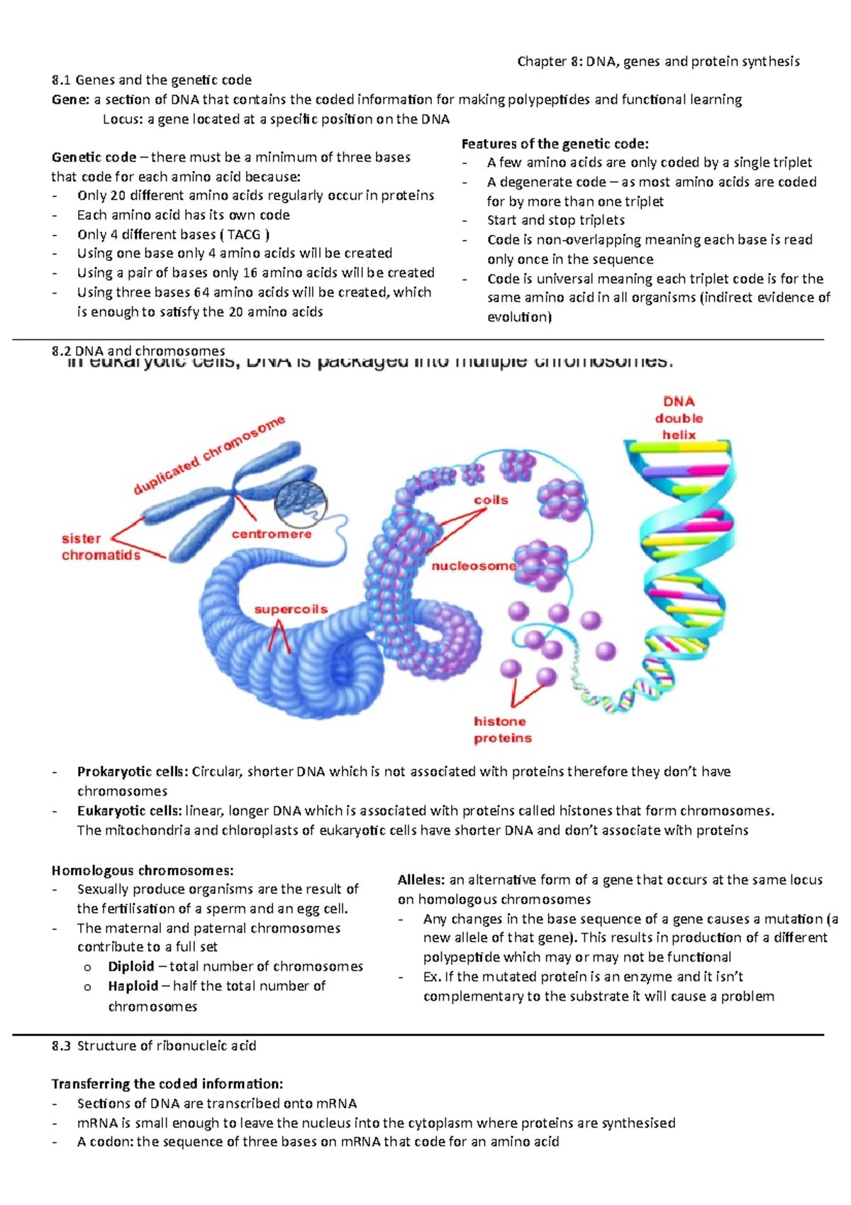 DNA, genes and protein synthesis - A-Level Biology notes - Chapter 8 ...
