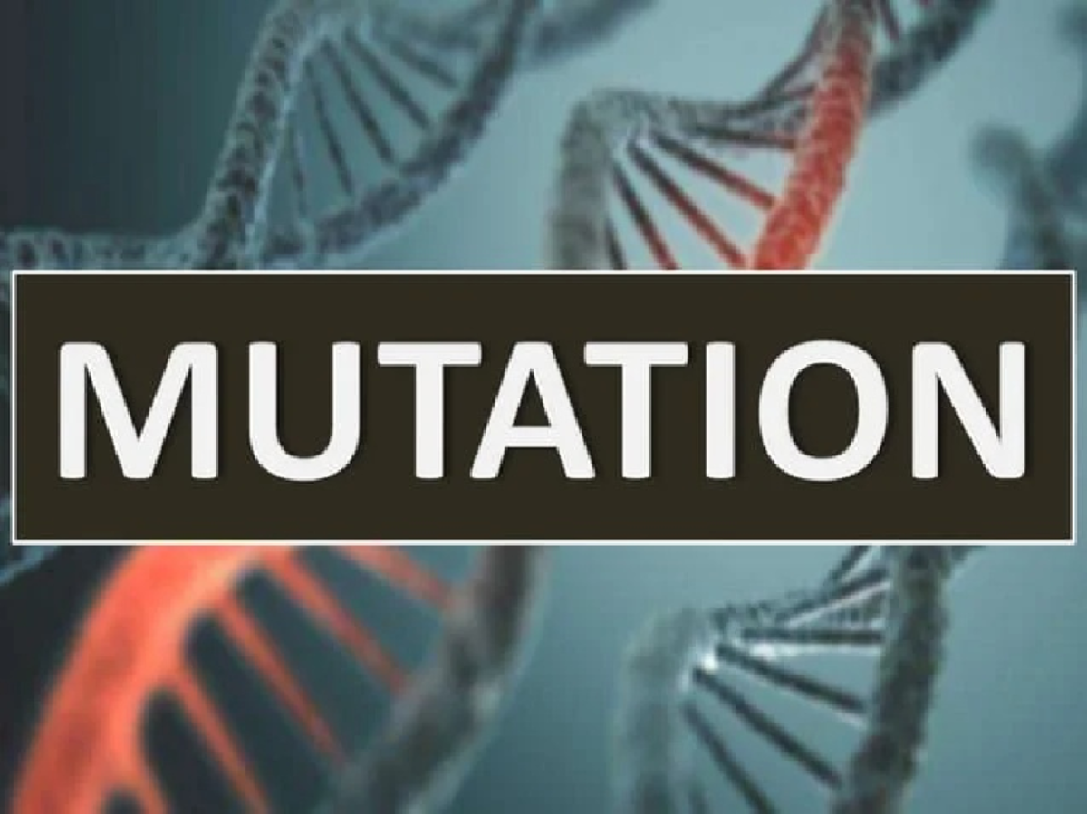 MUTATION AND CHROMOSOMAL ABNORMALITIES IN EVOLUTION (Lesson 2.2) - Studocu