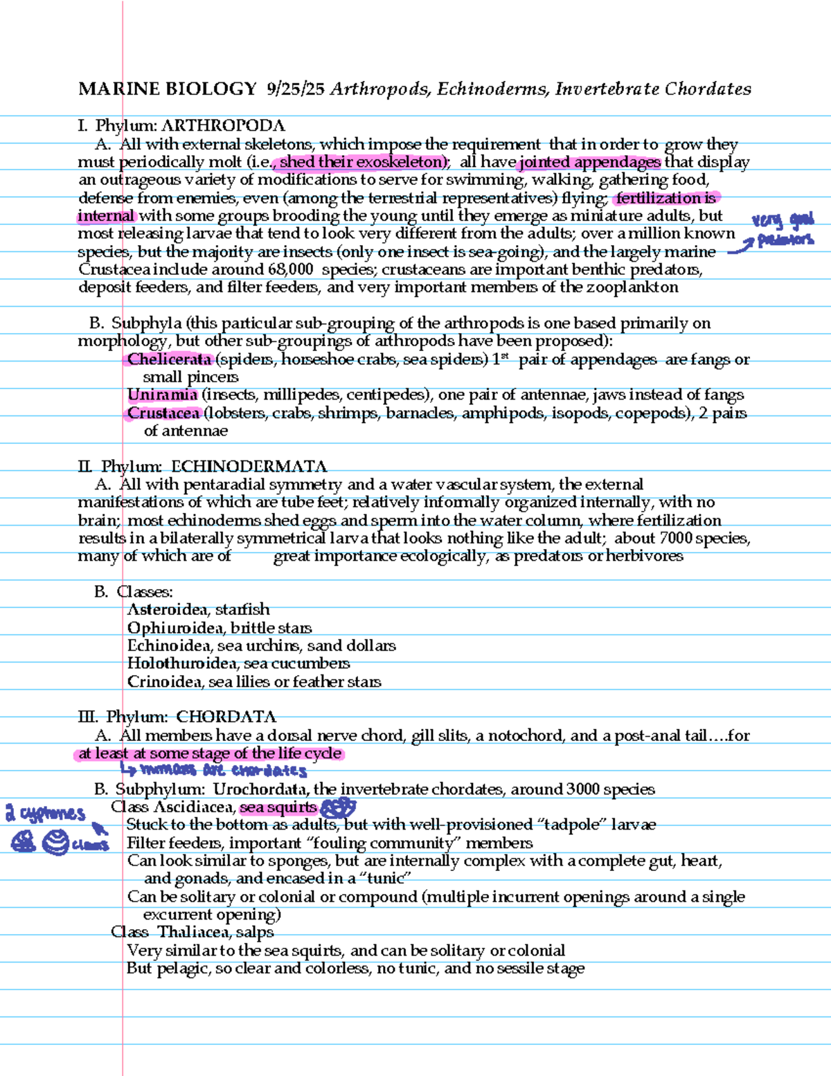 MARINE BIOLOGY: Arthropods, Echinoderms & Invertebrate Chordates - Studocu