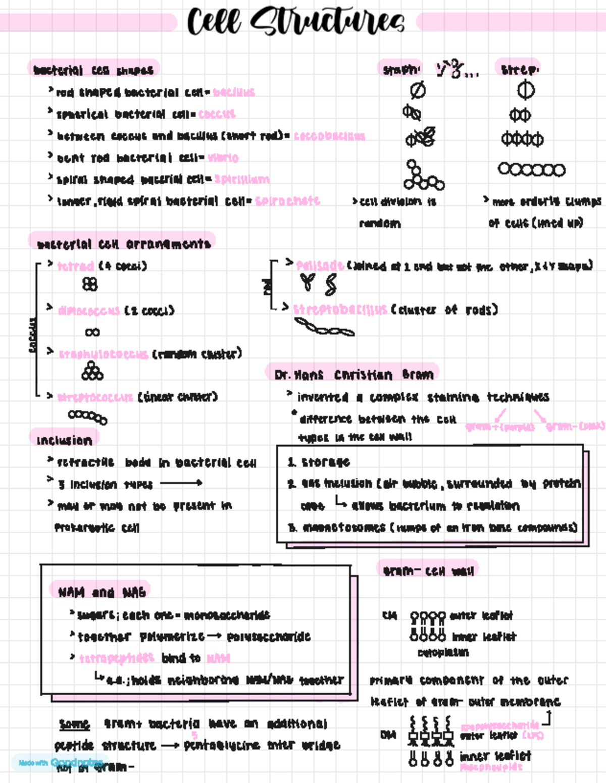 Medical Micro 6 - Cell structure - bacterial cell shapes staph : 1 -C ...