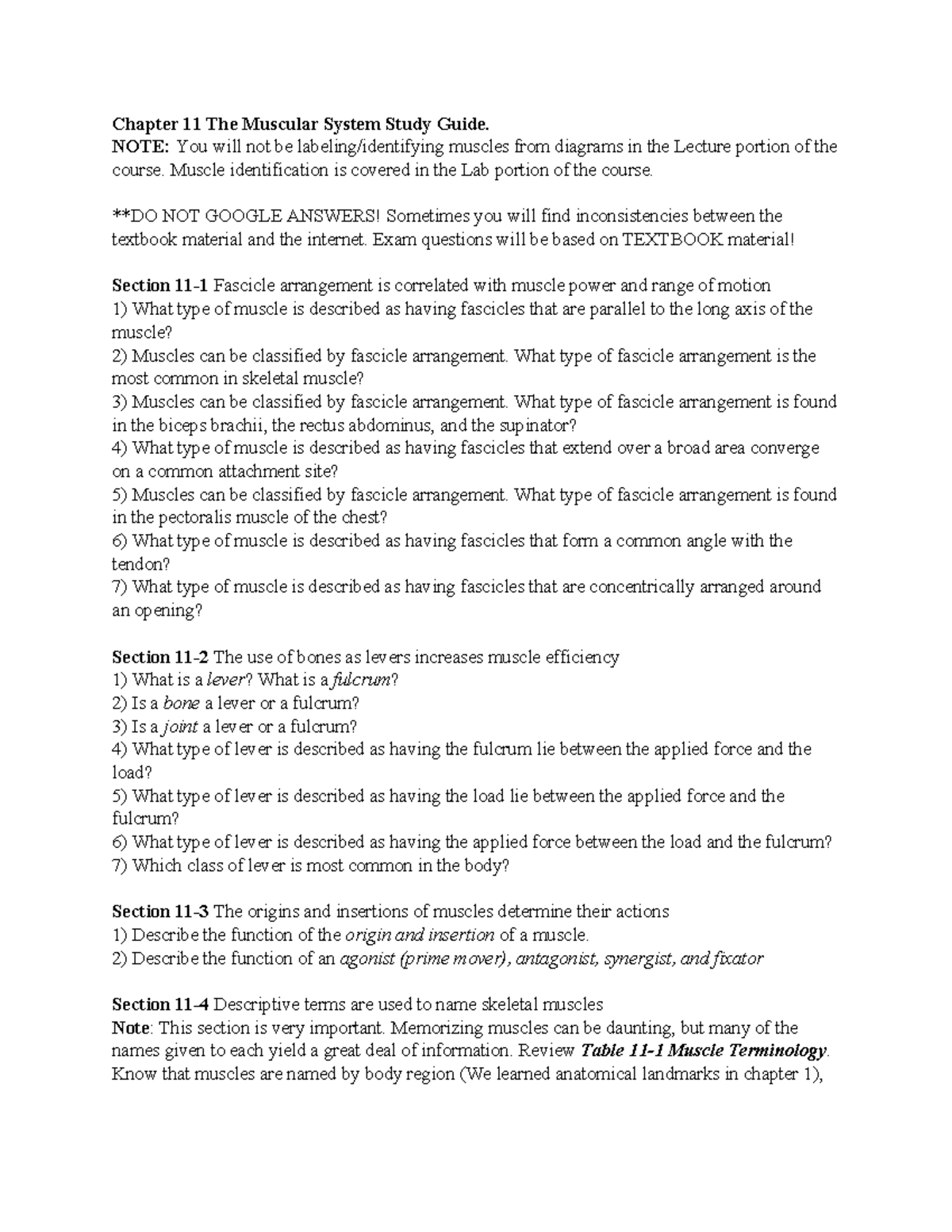 Chapter 11 The Muscular System Study Guide (Fall 2025) - Studocu