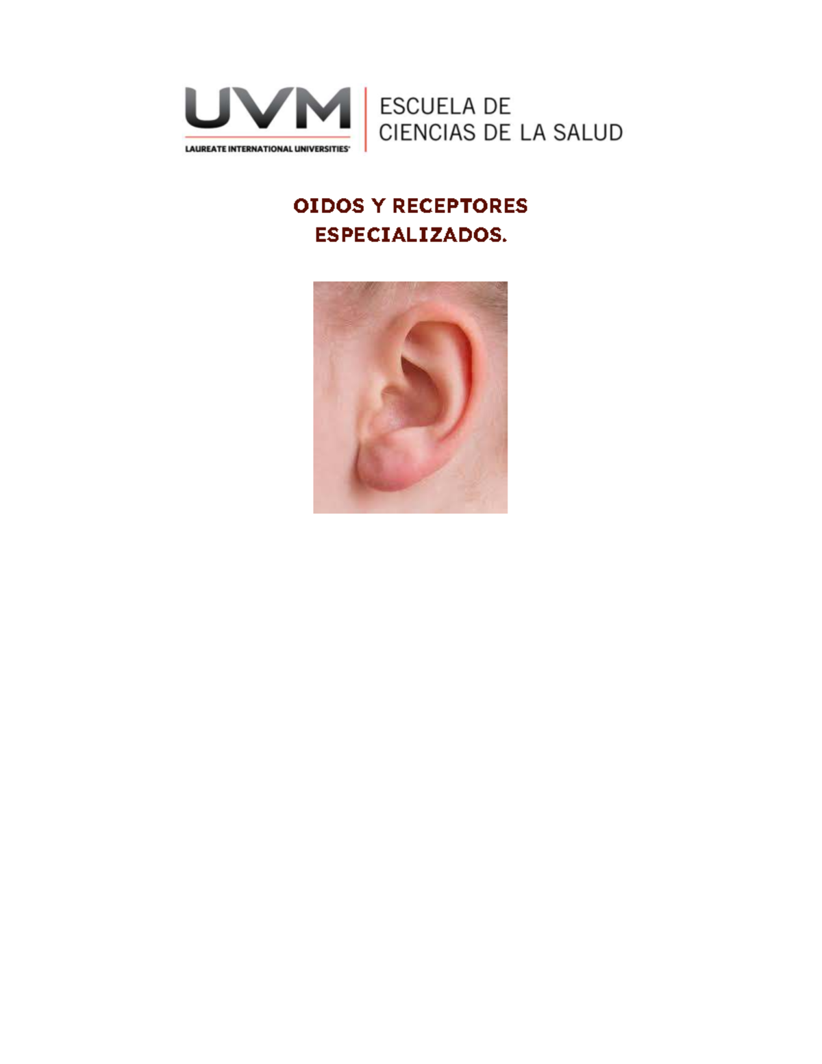 Estructuras Histológicas del Oído: Tarea de Anatomía (OIDO 101) - Studocu