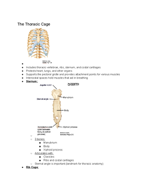 [Solved] The axis C2 contains a prominent process called the Blank ...