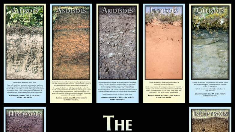 Soil Orders Overview - 222 - Studocu