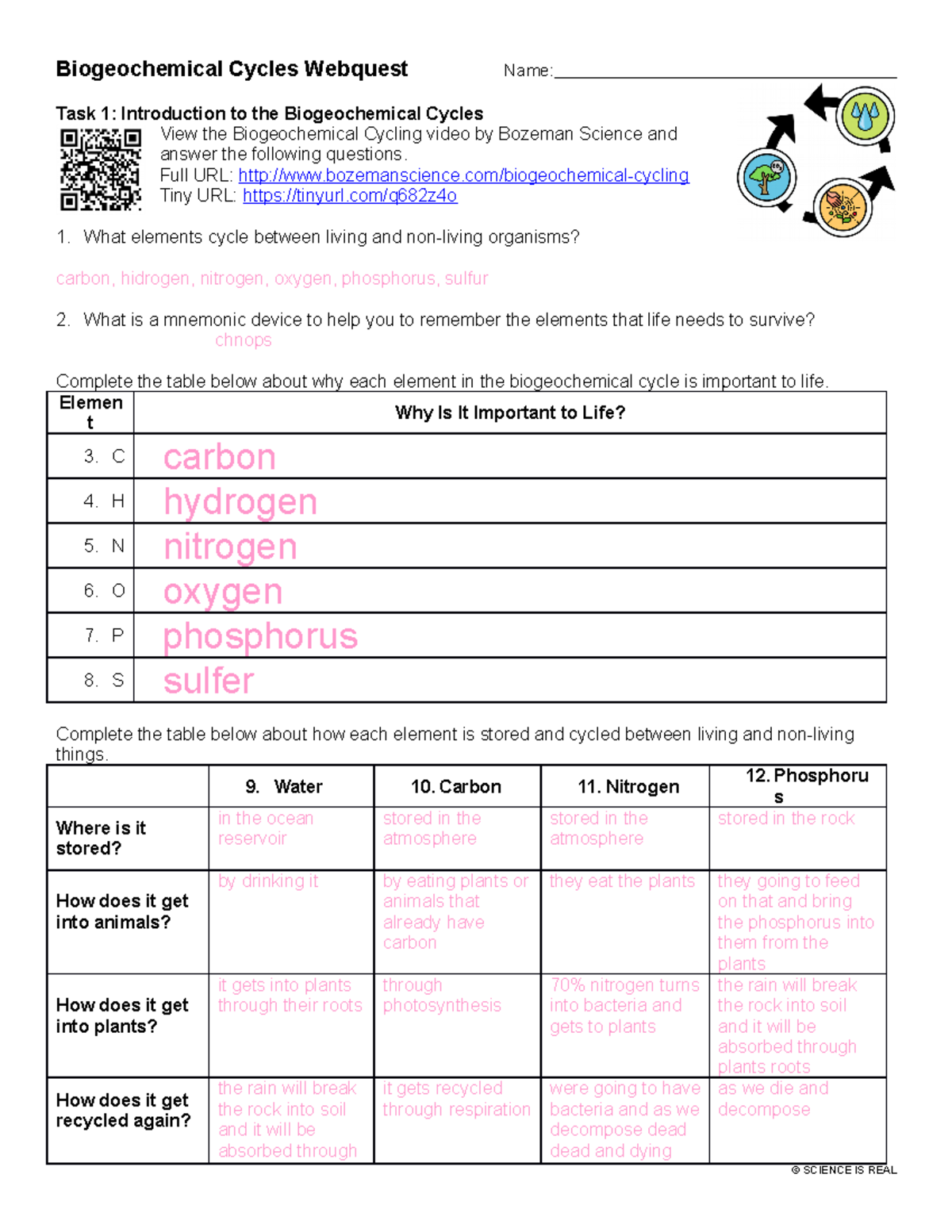 Handout Biogeochemical Cycles Webquest - Biogeochemical Cycles Webquest ...