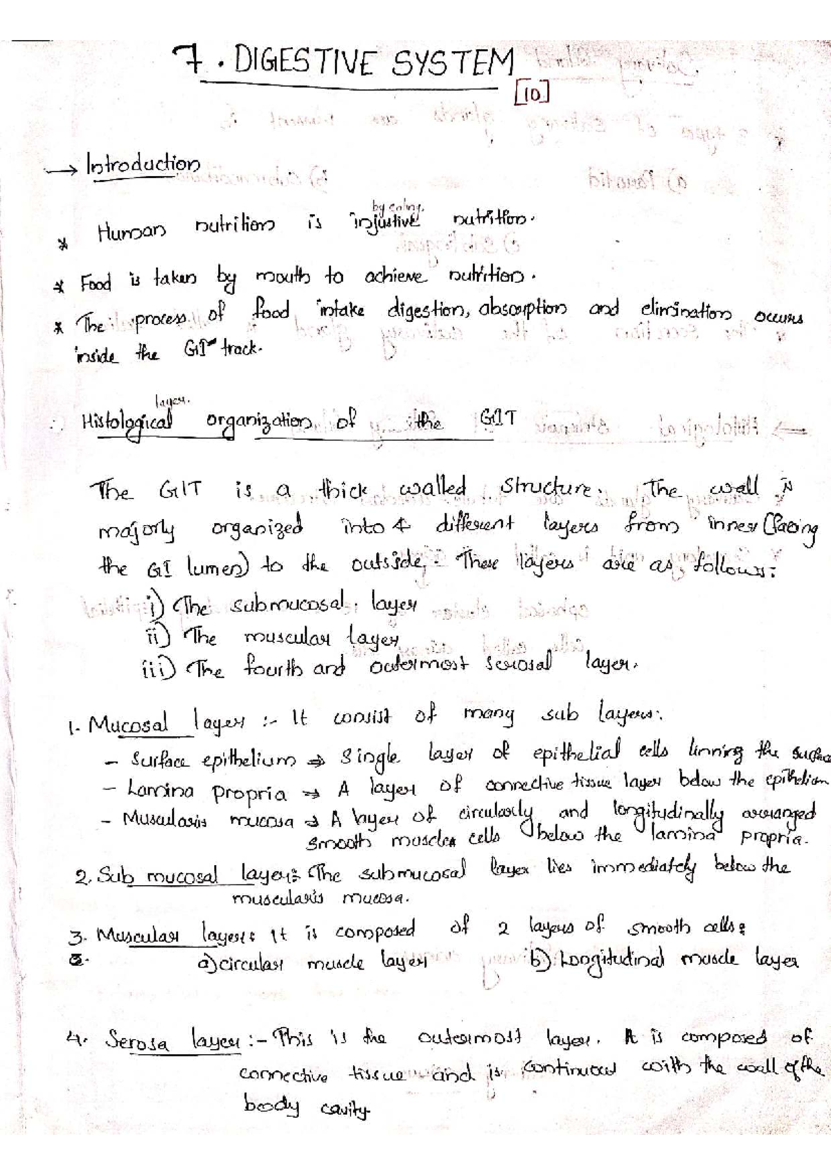 Physiology of Digestive System: GIT Structure & Function Overview - Studocu