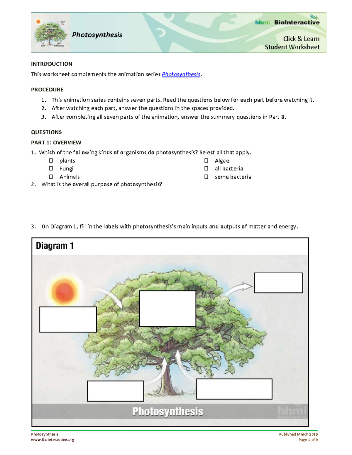 Photosynthesis Click Learn Student Worksheet - Study Guide - Studocu