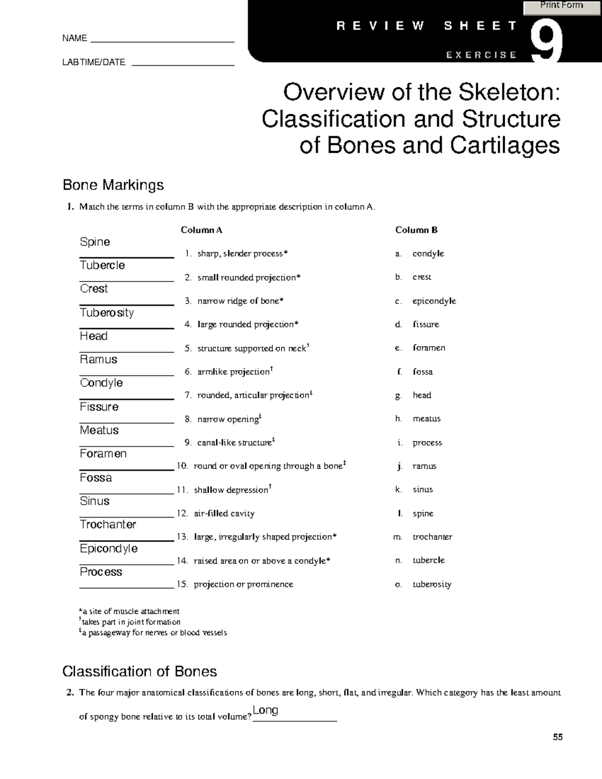 Review Sheet 1 The language of anatomy - 3 Surface Anatomy 1. Match ...