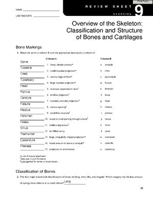 AP1 Lab Manual_Answers - Anatomy and Physiology Lab Manual Version 1.1 ...