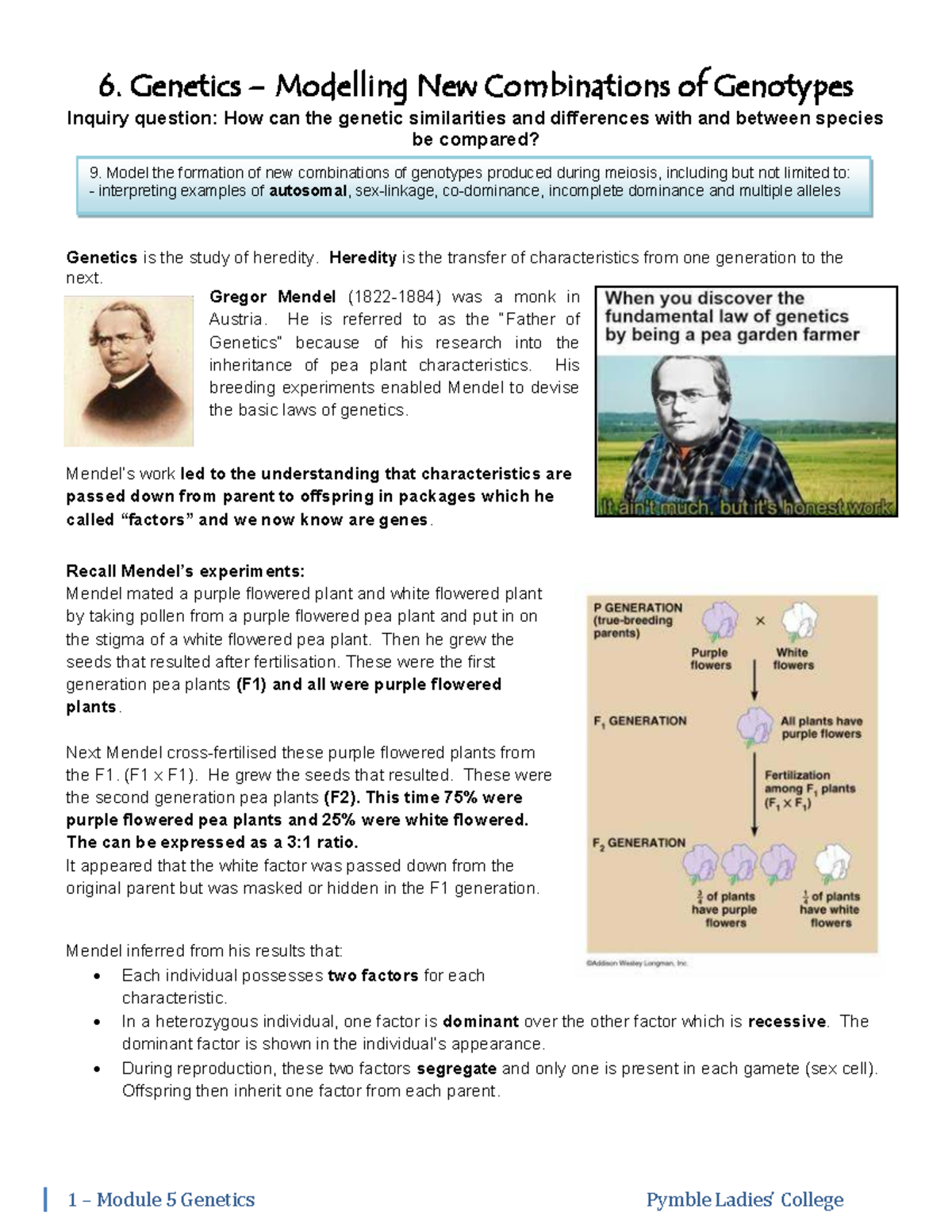 6. Genetics Modelling New Genotype Combinations - Inquiry & Examples ...