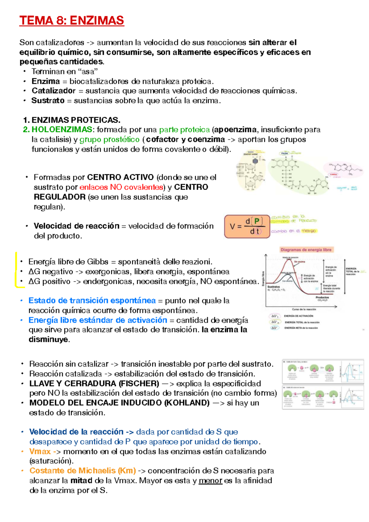 2º PARCIAL: APUNTES DE BIOQUÍMICA PARA ODONTOLOGÍA - Studocu