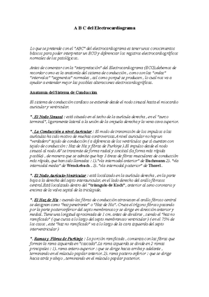 Tipos DE Abdomen - TIPOS DE ABDOMEN CARACTERISTICAS CAUSAS GLOBOSO ...