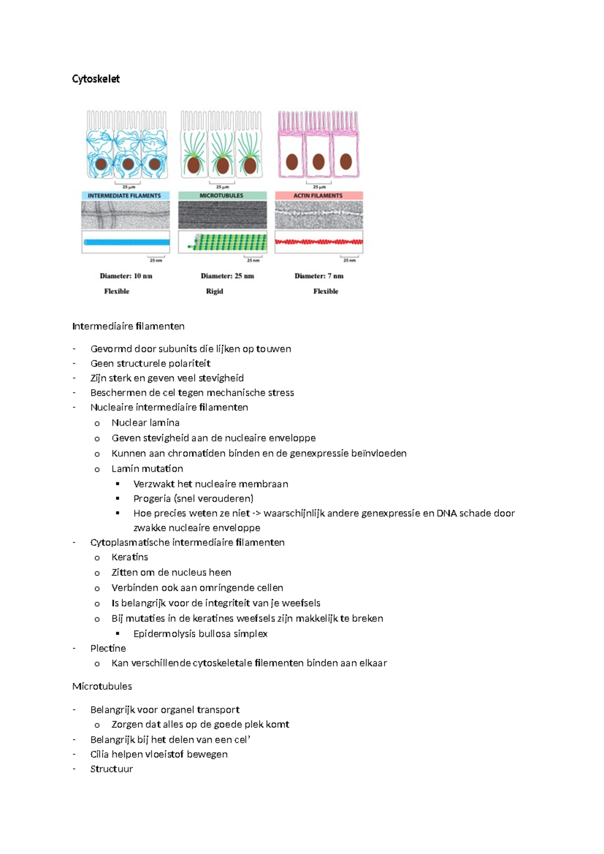 Cytoskelet: Functies en Strukturen van Intermediaire Filamenten en ...