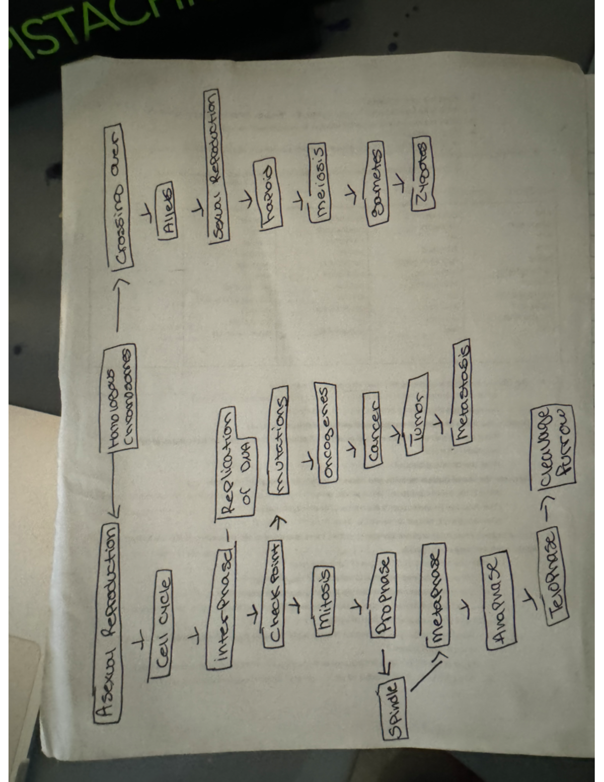 Concept map mod 6 - BIO 189 - Asexual Reproduction Hanologous crossing ...