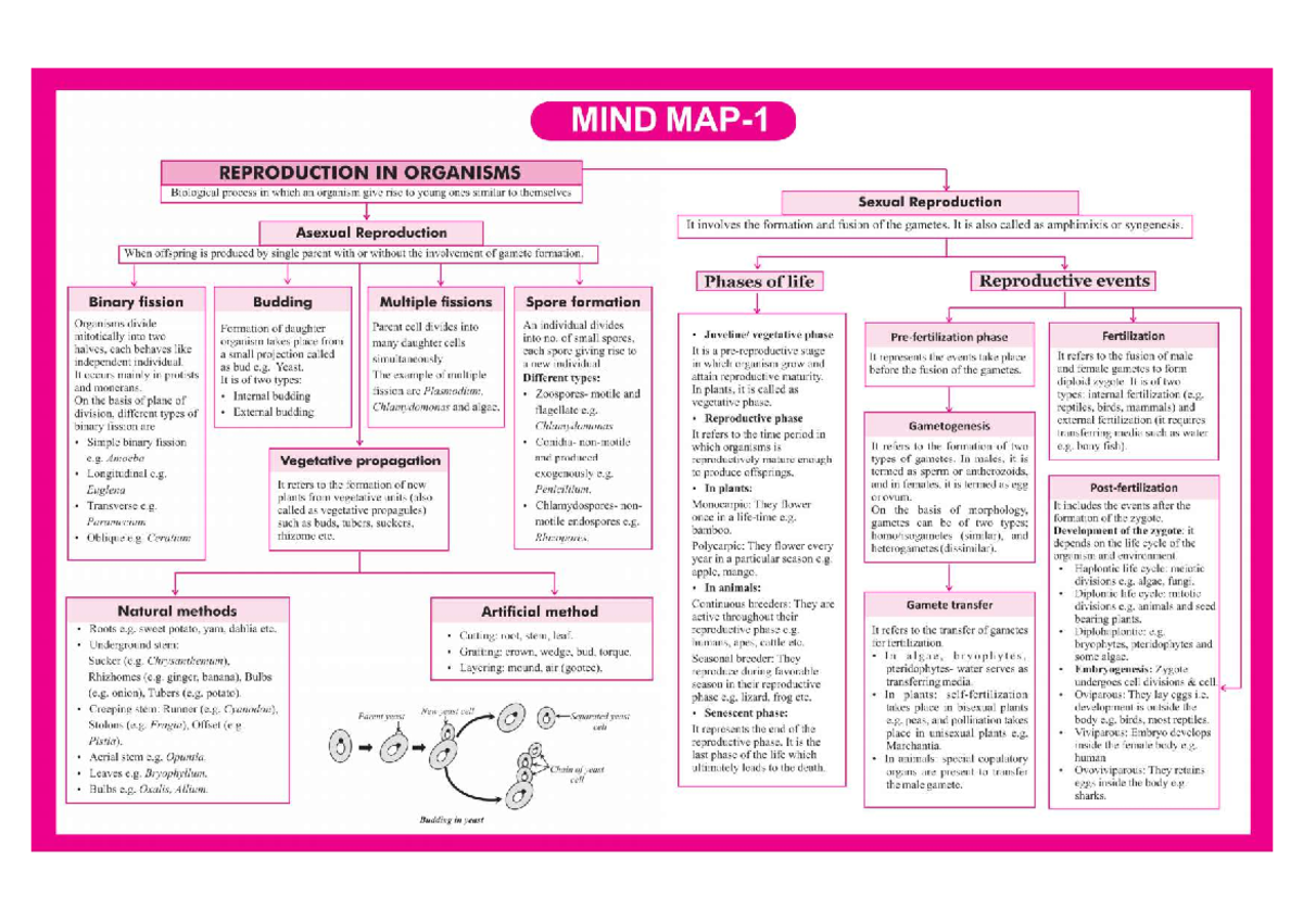 MIND MAP: BIOLOGY CLASS 12 - KEY CONCEPTS IN ECOLOGY AND REPRODUCTION ...