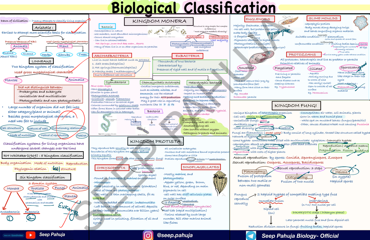 Biological Classification Cheat Sheet: Key Concepts & Systems - Studocu