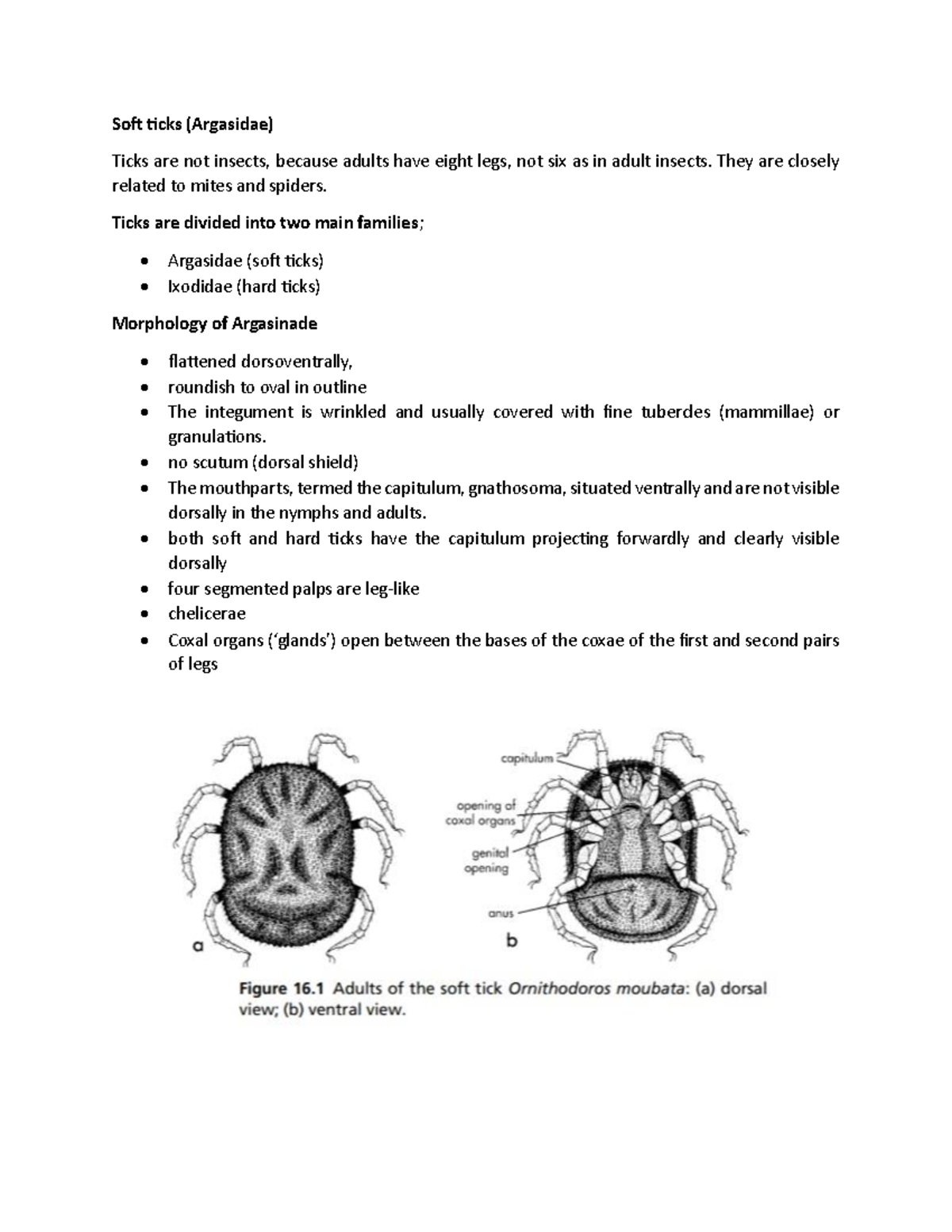 Soft and Hard Ticks (Argasidae & Ixodidae) - Medical Entomology Notes ...
