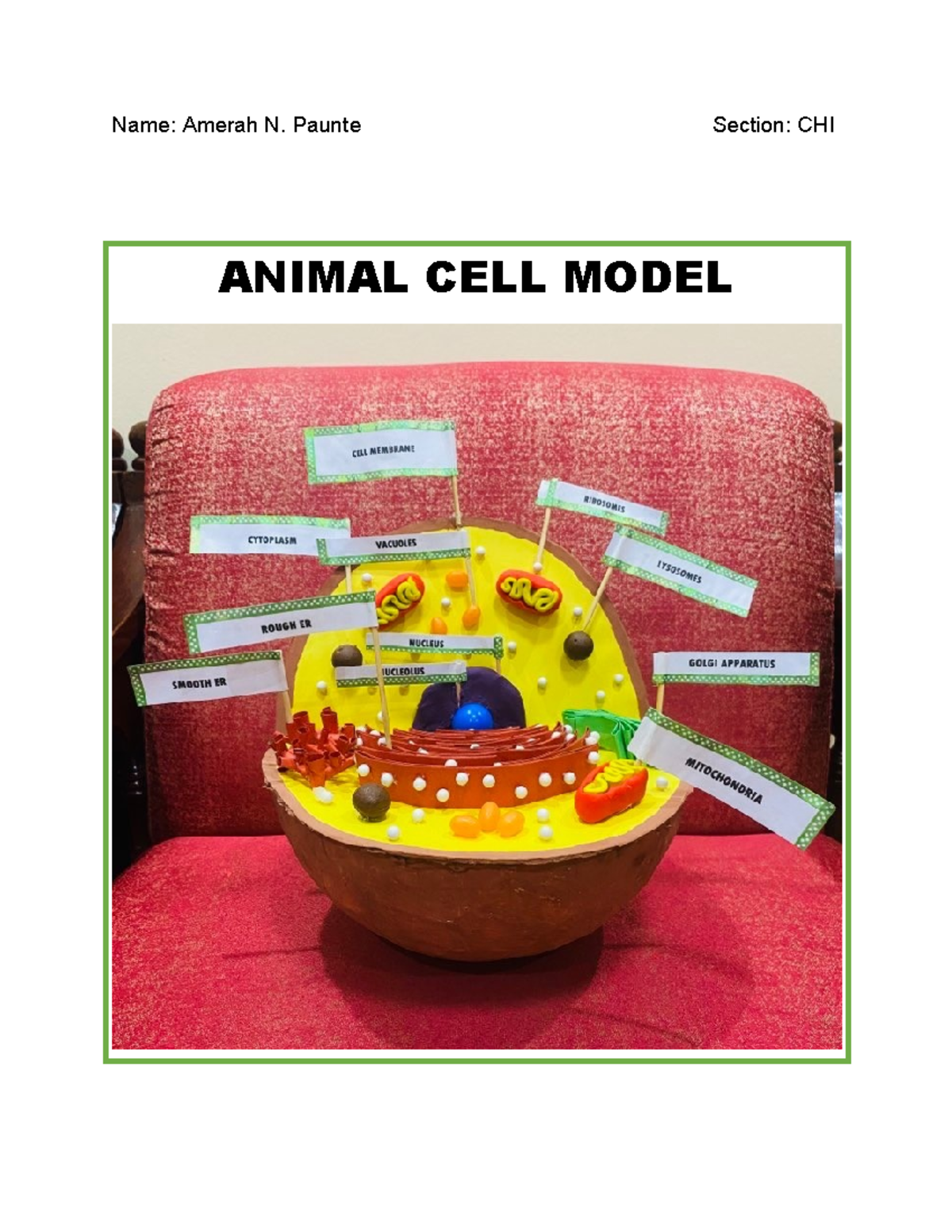 Cell Model Template - Name: Amerah N. Paunte Section: CHI ANIMAL CELL MODEL NAME OF THE ...