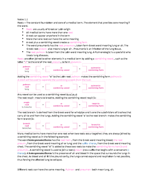 Med Term Ch 4 + 3 - chapter 3 and 4 quiz review - MEDICAL TERMINOLOGY ...