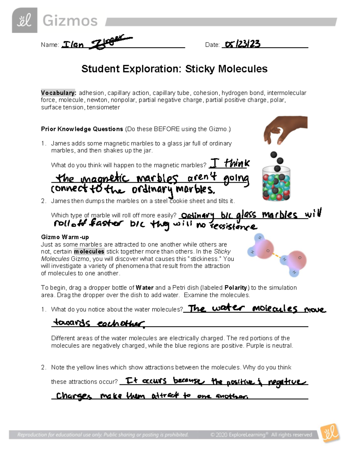 Sticky Molecules Exploration: Understanding Polarity and Adhesion - Studocu