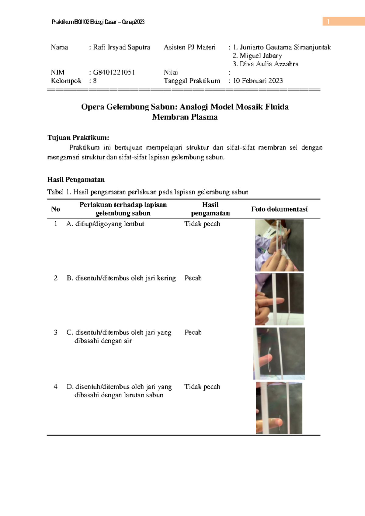Analisis Praktikum: Opera Gelembung Sabun dan Membran Plasma (Biologi ...