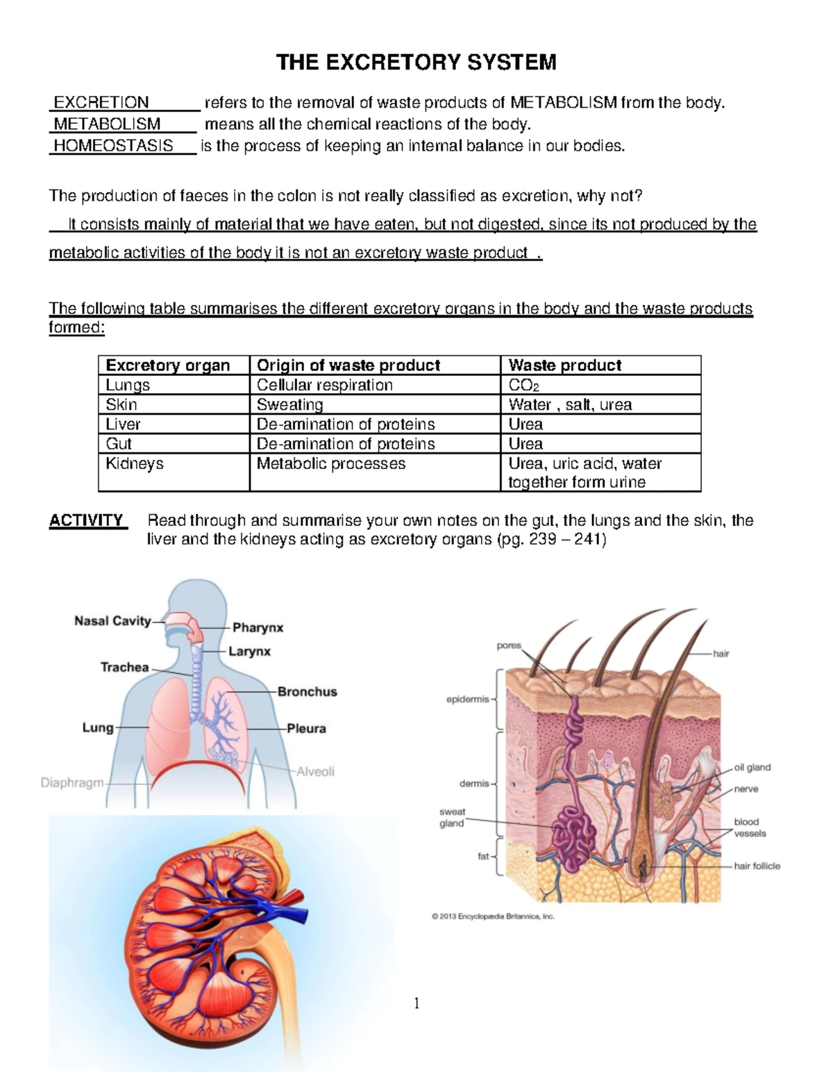 Grade 12 Informal Test 6: Endocrine System & Homeostasis - Studocu