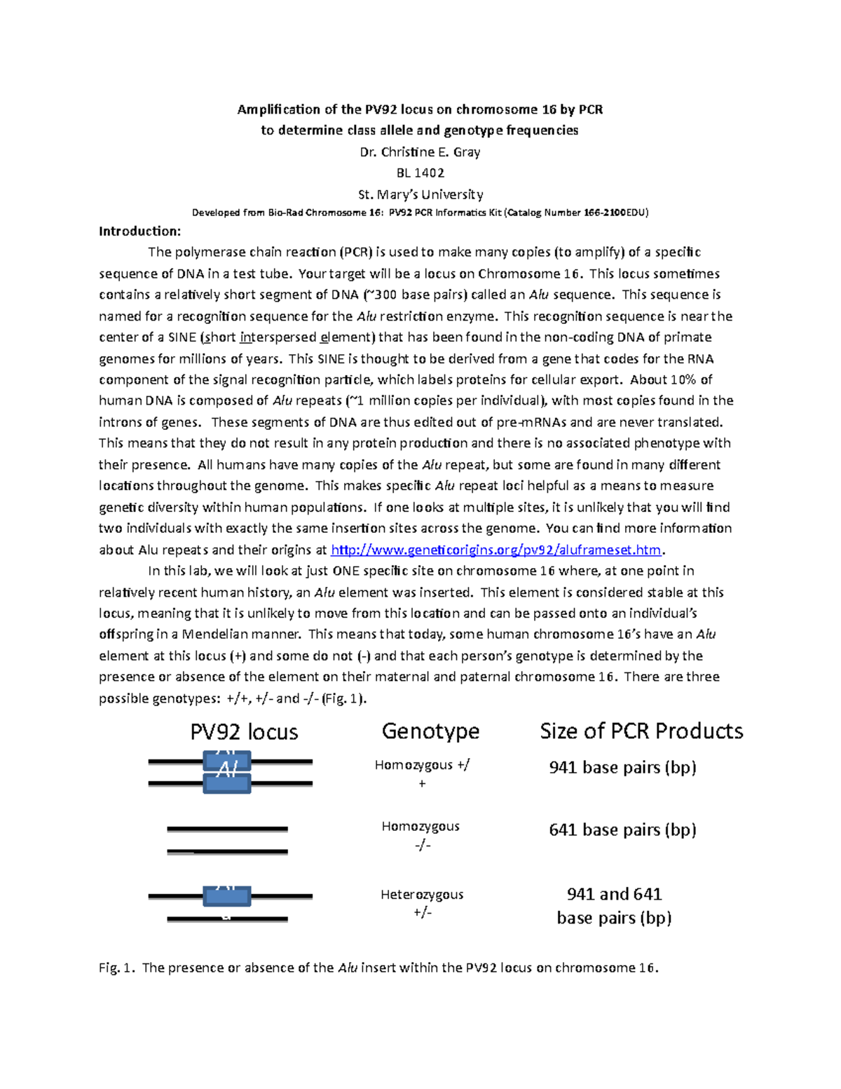 Amplification of the PV92 locus on chromosome 16 by PCR - Christine E ...
