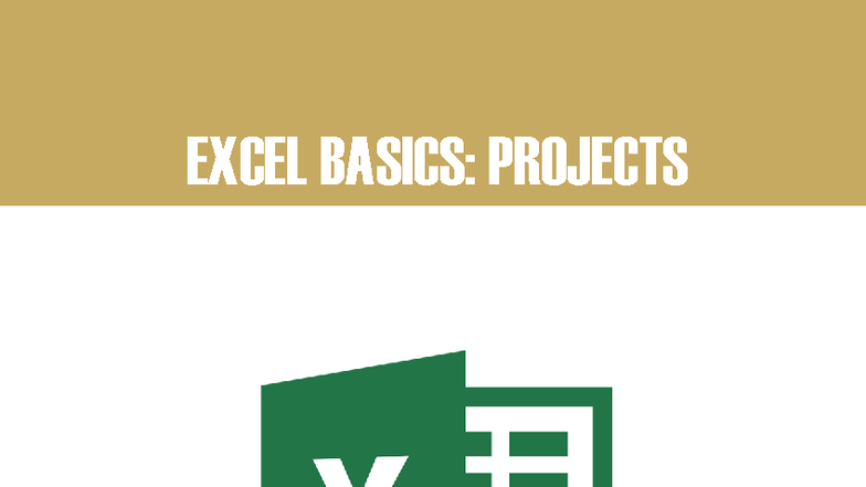 Excel Basics Projects Handout (030617) - Essential Skills & Practice ...