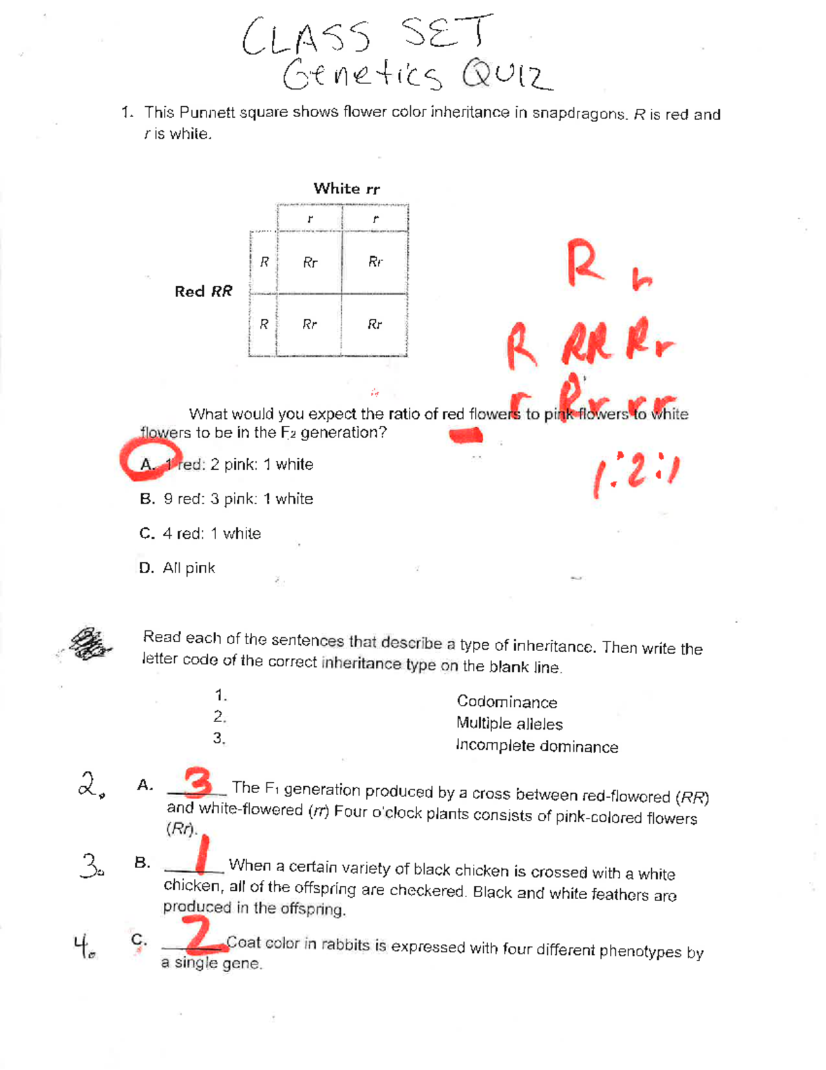 Genetics QUIZ 1 KEY - Flower Color Inheritance & Mendelian Traits - Studocu