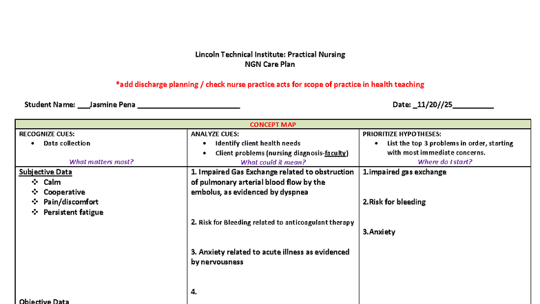 NGN Care Plan PN Template-1 (1) Completed 2 - Lincoln Technical ...