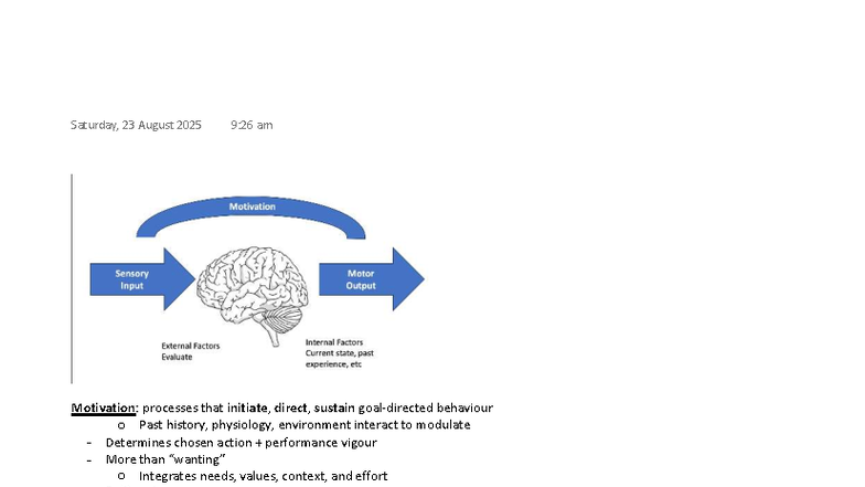 NEUR2020 Lecture Notes: Understanding Motivation and Behavior - Studocu