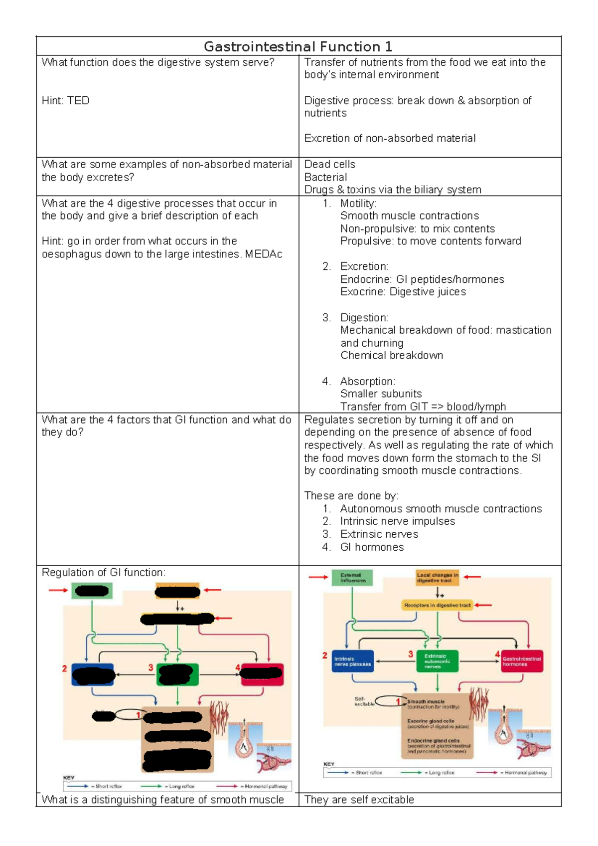 GI Review Notes: Understanding Gastrointestinal Function and Digestion ...