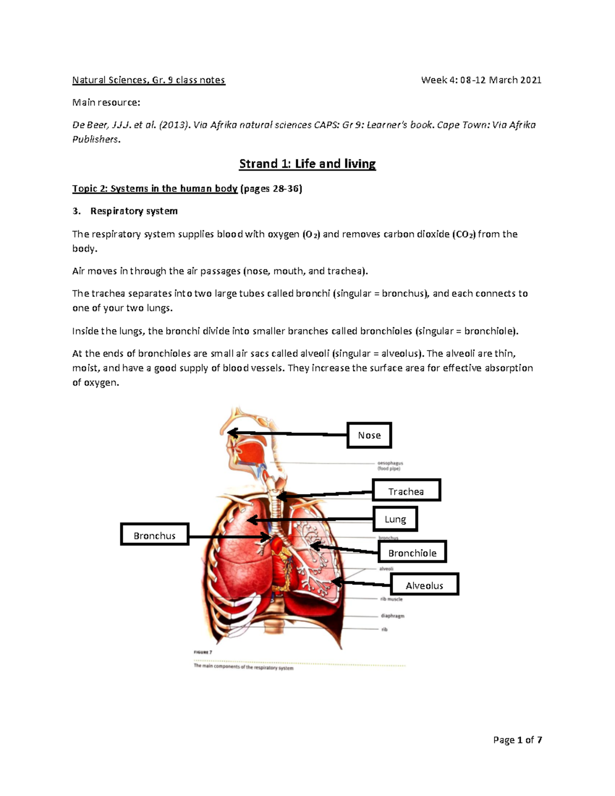 Natural Sciences Gr. 9: Body Systems Class Notes (Week 4) - Studocu